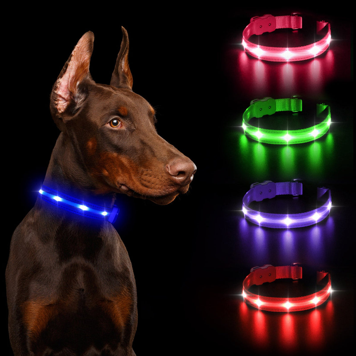LED Dog Collars – Light-Up, Rechargeable & Waterproof | Masbrill – MASBRILL