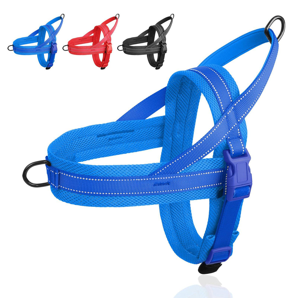 DOG COLLAR/HARNESS – MASBRILL